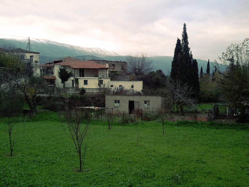 Φωτογραφιες του χωριου μας!! :: Κοίλι Ευβοίας!!